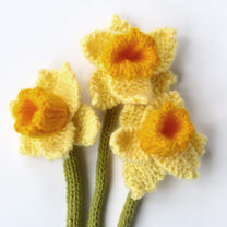 Daffodils Knitting Pattern – Lovefibres