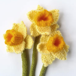 Daffodils Knitting Pattern – Lovefibres