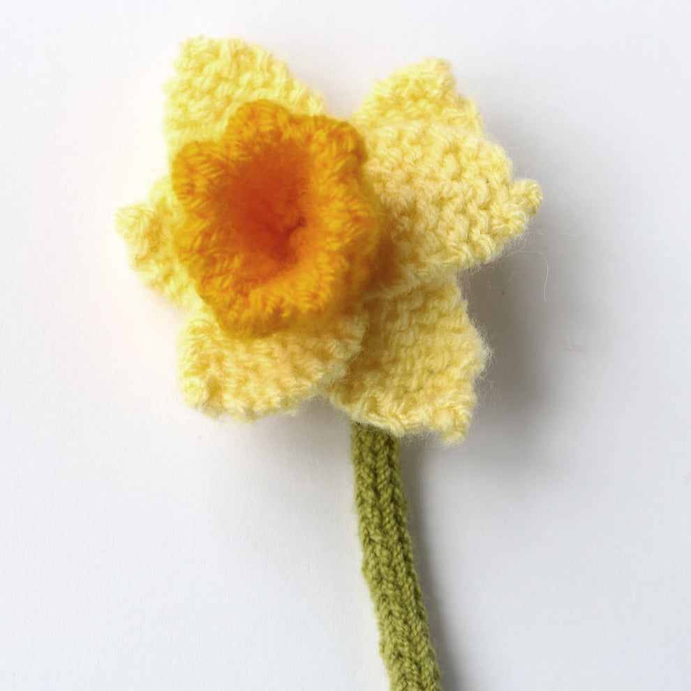 Daffodils Knitting Pattern – Lovefibres
