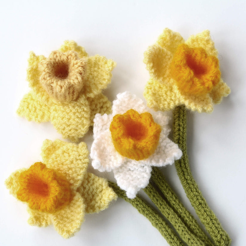 Daffodils Knitting Pattern – Lovefibres